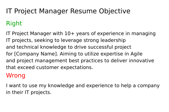 Top 18 IT Project Manager Resume Objective Examples