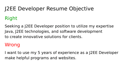 Top 17 J2EE Developer Resume Objective Examples | ResumeCat