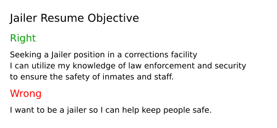 Top 17 Jailer Resume Objective Examples | ResumeCat