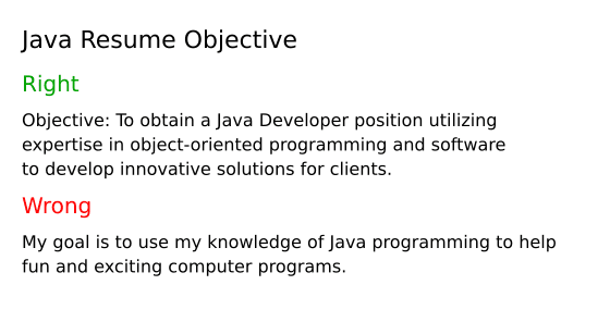 Top 17 Java Resume Objective Examples | ResumeCat