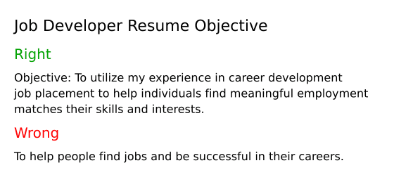 Top 17 Job Developer Resume Objective Examples | ResumeCat