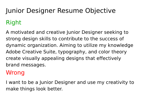 Top 17 Junior Designer Resume Objective Examples | ResumeCat