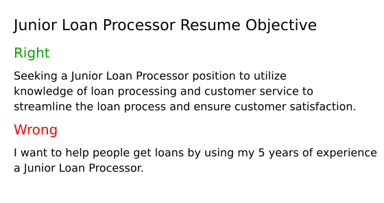 Top 17 Junior Loan Processor Resume Objective Examples