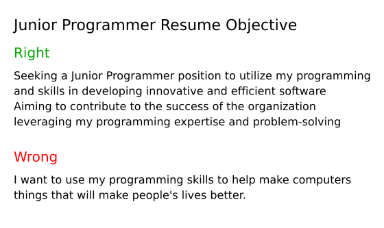 Top 16 Junior Programmer Resume Objective Examples