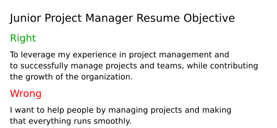 Top 18 Junior Project Manager Resume Objective Examples