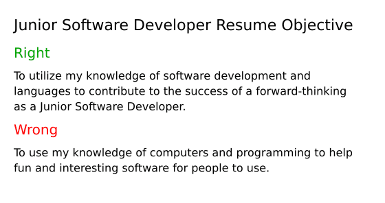 Top 16 Junior Software Developer Resume Objective Examples