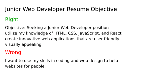 Top 16 Junior Web Developer Resume Objective Examples