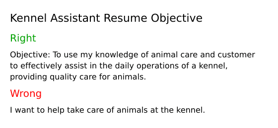 Top 18 Kennel Assistant Resume Objective Examples