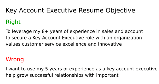 Top 17 Key Account Executive Resume Objective Examples