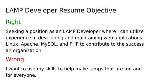 Top 17 LAMP Developer Resume Objective Examples | ResumeCat