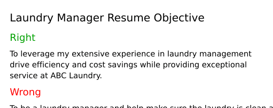 Top 16 Laundry Manager Resume Objective Examples | ResumeCat