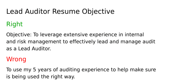 Top 17 Lead Auditor Resume Objective Examples | ResumeCat