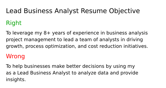 Top 16 Lead Business Analyst Resume Objective Examples