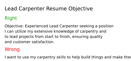 Top 16 Lead Carpenter Resume Objective Examples | ResumeCat