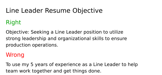 Top 18 Line Leader Resume Objective Examples | ResumeCat