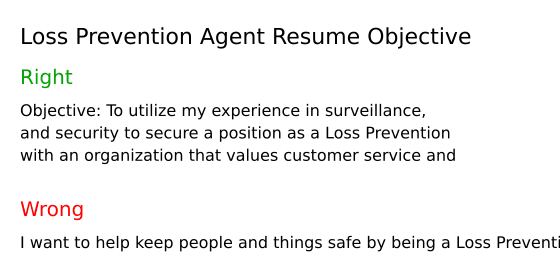 Top 17 Loss Prevention Agent Resume Objective Examples