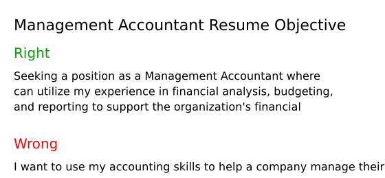 Top 18 Management Accountant Resume Objective Examples
