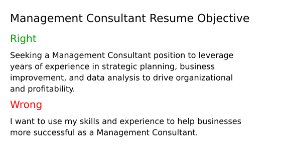 Top 16 Management Consultant Resume Objective Examples