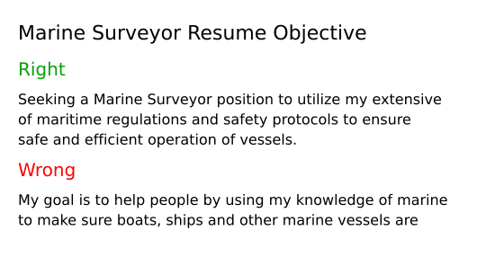 Top 17 Marine Surveyor Resume Objective Examples | ResumeCat