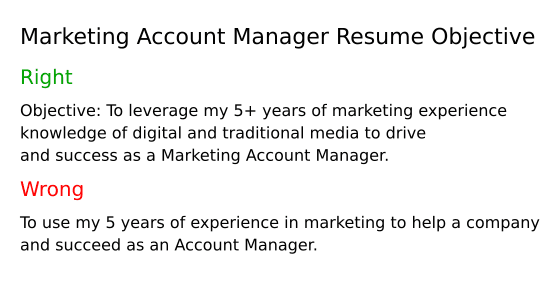 Top 17 Marketing Account Manager Resume Objective Examples