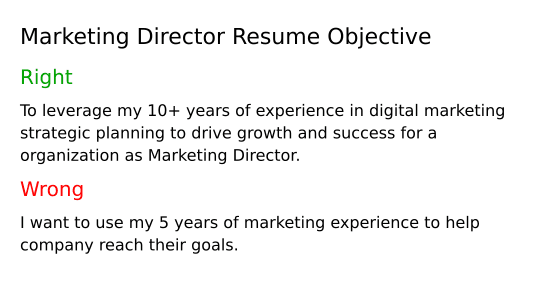 Top 17 Marketing Director Resume Objective Examples