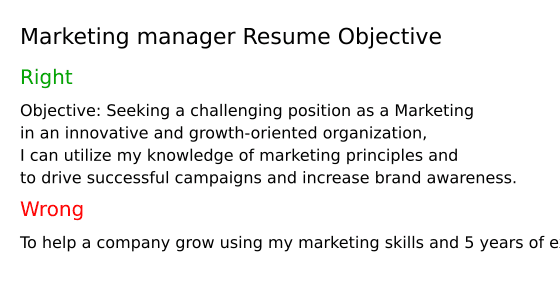 Top 16 Marketing manager Resume Objective Examples