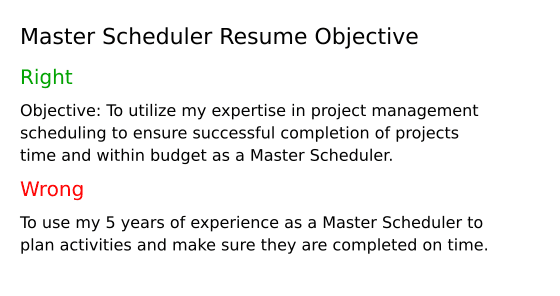 Top 18 Master Scheduler Resume Objective Examples