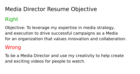 Top 18 Media Director Resume Objective Examples | ResumeCat