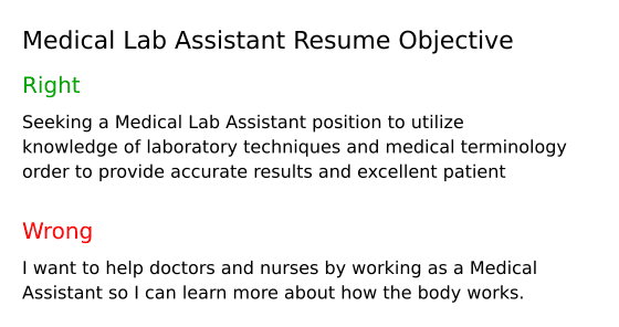 Top 18 Medical Lab Assistant Resume Objective Examples