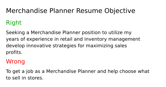 Top 18 Merchandise Planner Resume Objective Examples