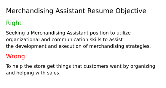 Top 18 Merchandising Assistant Resume Objective Examples