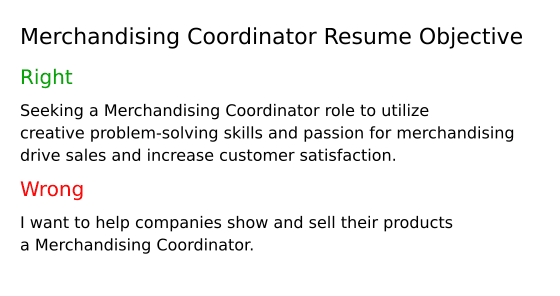 Top 17 Merchandising Coordinator Resume Objective Examples