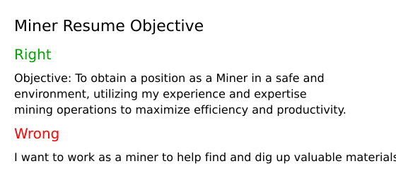 Top 18 Miner Resume Objective Examples | ResumeCat
