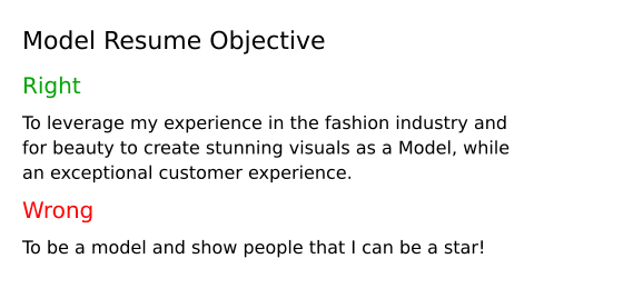 Top 16 Model Resume Objective Examples | ResumeCat