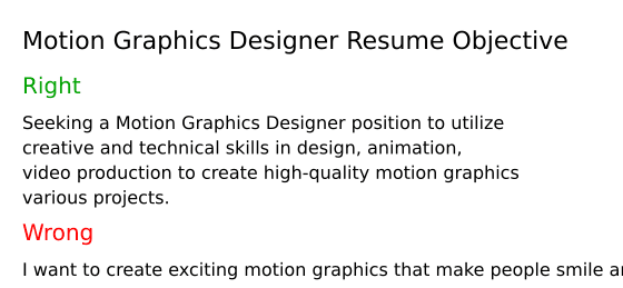 Top 17 Motion Graphics Designer Resume Objective Examples