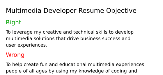 Top 18 Multimedia Developer Resume Objective Examples