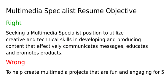 Top 18 Multimedia Specialist Resume Objective Examples