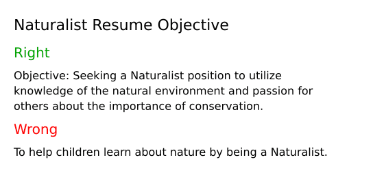 Top 17 Naturalist Resume Objective Examples | ResumeCat