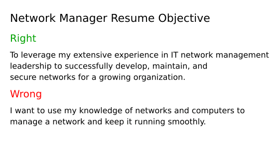Top 16 Network Manager Resume Objective Examples | ResumeCat