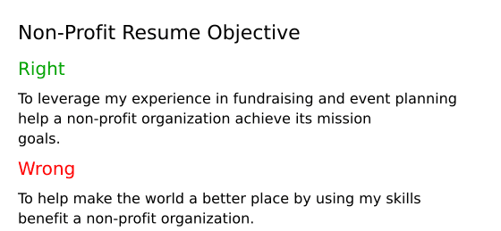 Top 16 Non-Profit Resume Objective Examples | ResumeCat
