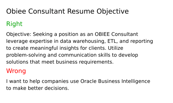 Top 16 Obiee Consultant Resume Objective Examples