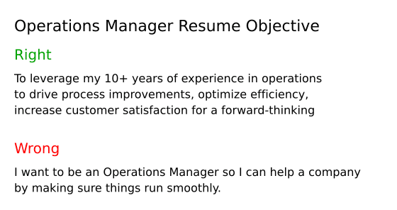 Top 17 Operations Manager Resume Objective Examples