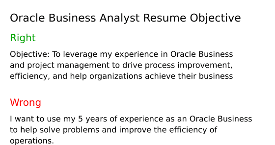 Top 17 Oracle Business Analyst Resume Objective Examples
