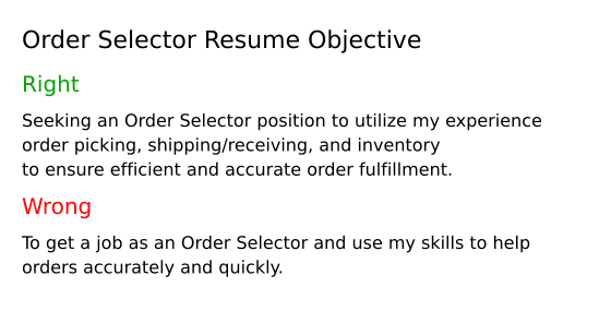 Top 16 Order Selector Resume Objective Examples | ResumeCat