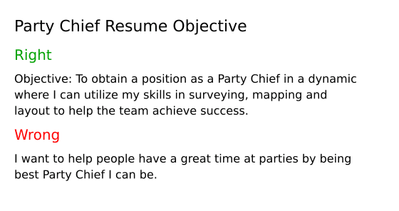 Top 16 Party Chief Resume Objective Examples | ResumeCat
