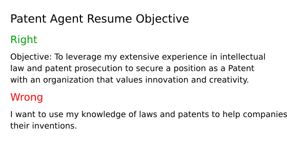 Top 18 Patent Agent Resume Objective Examples | ResumeCat