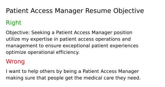 Top 17 Patient Access Manager Resume Objective Examples