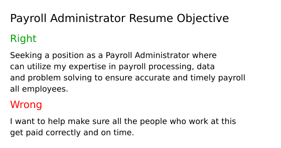 Top 18 Payroll Administrator Resume Objective Examples