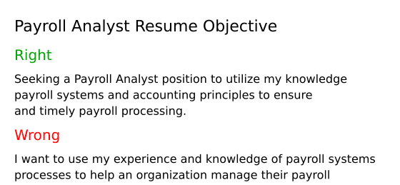 Top 18 Payroll Analyst Resume Objective Examples | ResumeCat