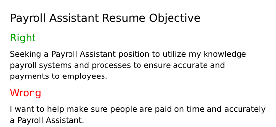 Top 17 Payroll Assistant Resume Objective Examples